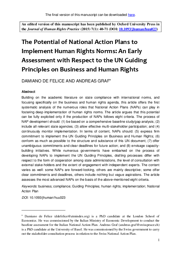 (PDF) The Potential of National Action Plans to Implement Human Rights ...