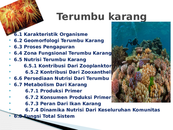 (PPT) coral reefs (terumbu karang) in chapter 6 ecology of coastal ...