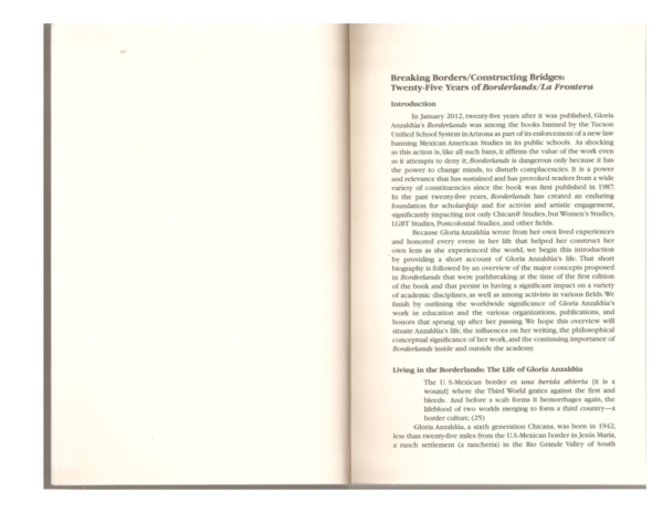 (PDF) Breaking borders/constructing bridges: Twenty-five years of ...