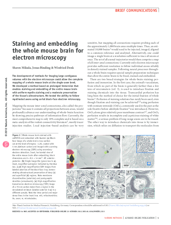 (PDF) Staining and embedding the whole mouse brain for electron microscopy