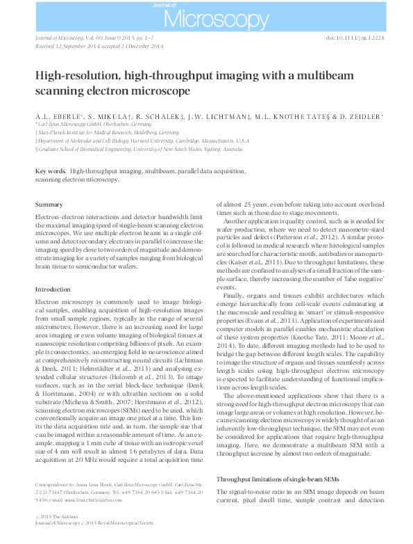 (PDF) High-resolution, high-throughput imaging with a multibeam ...