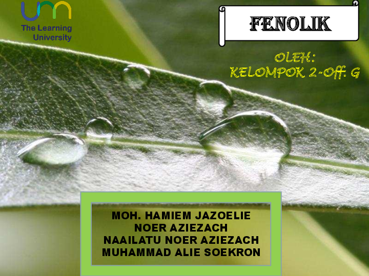 (PDF) Senyawa Fenolik