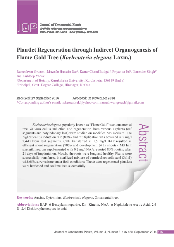 (PDF) Plantlet Regeneration through Indirect Organogenesis of Flame ...