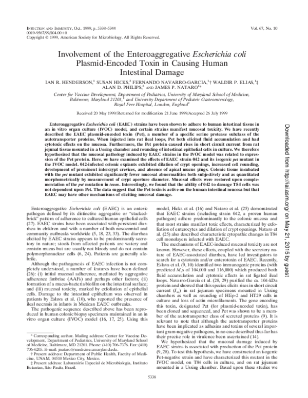 Pdf Subtypes Of The Plasmid Encoded Serine Protease Espp In Shiga Toxin Producing Escherichia