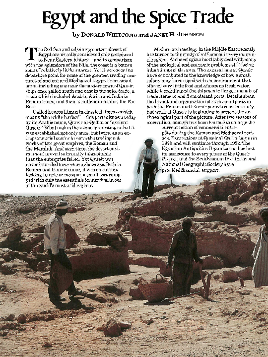 (PDF) Egypt and the Spice Trade