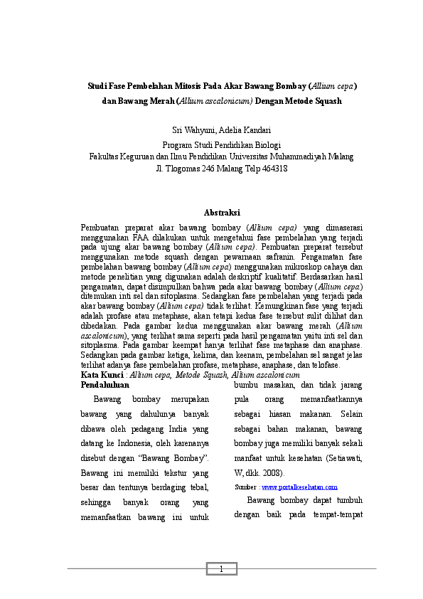 (DOC) Studi Fase Pembelahan Mitosis Pada Akar Bawang Bombay (Allium cepa) dan Bawang Merah ...