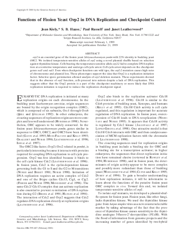 (PDF) Functions of Fission Yeast Orp2 in DNA Replication and Checkpoint ...