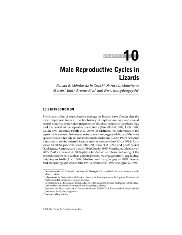 (PDF) Male Reproductive Cycles in Lizards