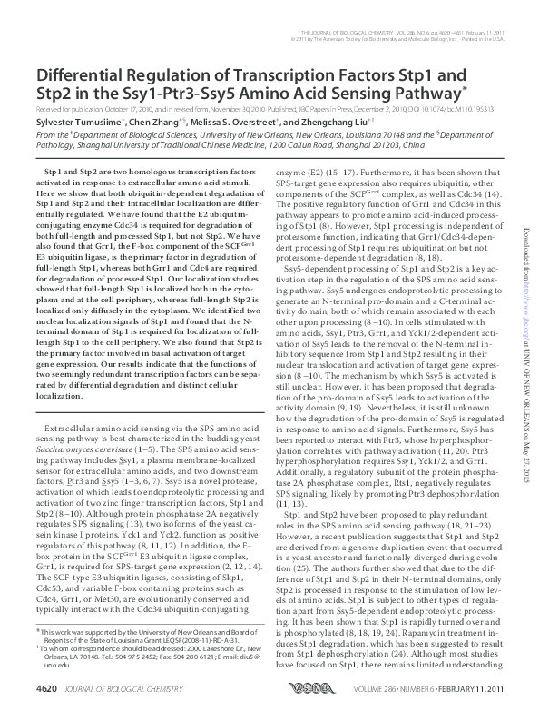(PDF) Differential Regulation of Transcription Factors Stp1 and Stp2 in ...