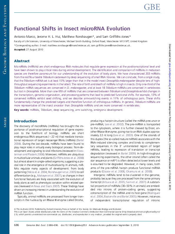 Functional shifts in insect microRNA evolution
