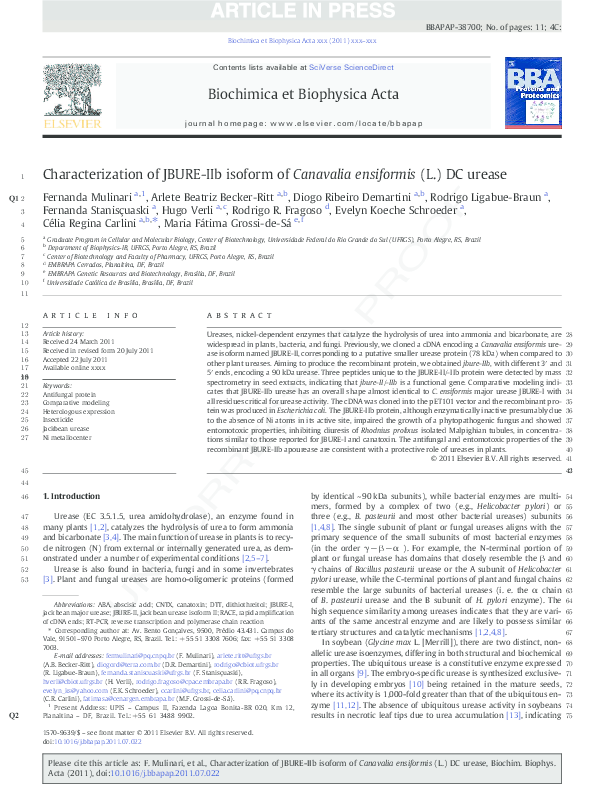 (PDF) Characterization of JBURE-IIb isoform of Canavalia ensiformis (L ...
