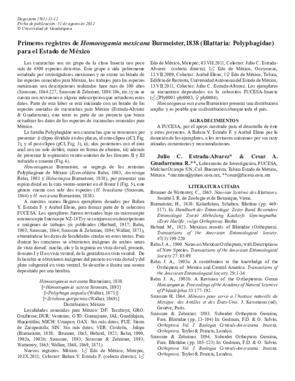 (PDF) First records of Homoeogamia mexicana Burmeister, 1838 (Blattaria ...