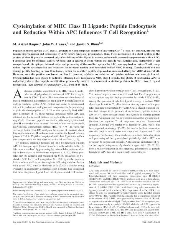 (PDF) Cysteinylation of MHC class II ligands: peptide endocytosis and ...