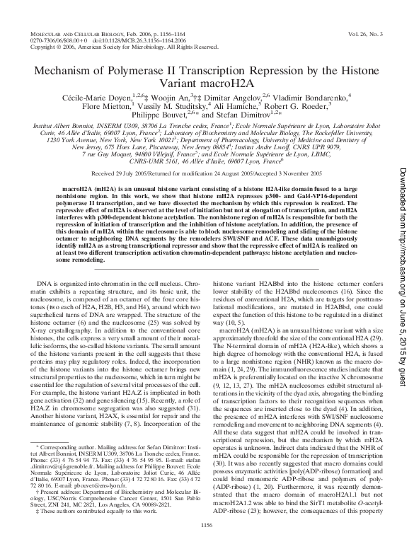 (PDF) Mechanism of Polymerase II Transcription Repression by the ...