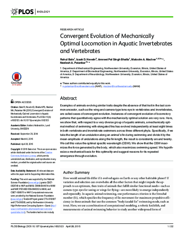 (PDF) Convergent Evolution of Mechanically Optimal Locomotion in ...