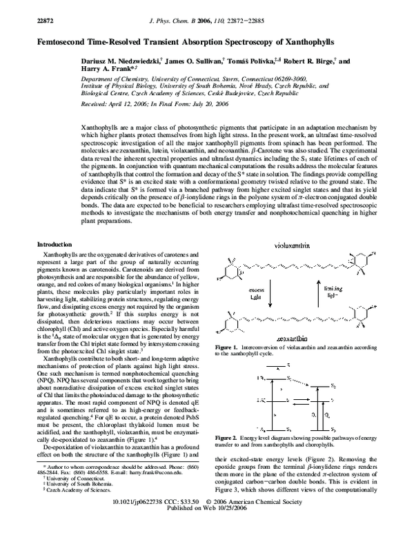 (PDF) Femtosecond Time-Resolved Transient Absorption Spectroscopy of ...