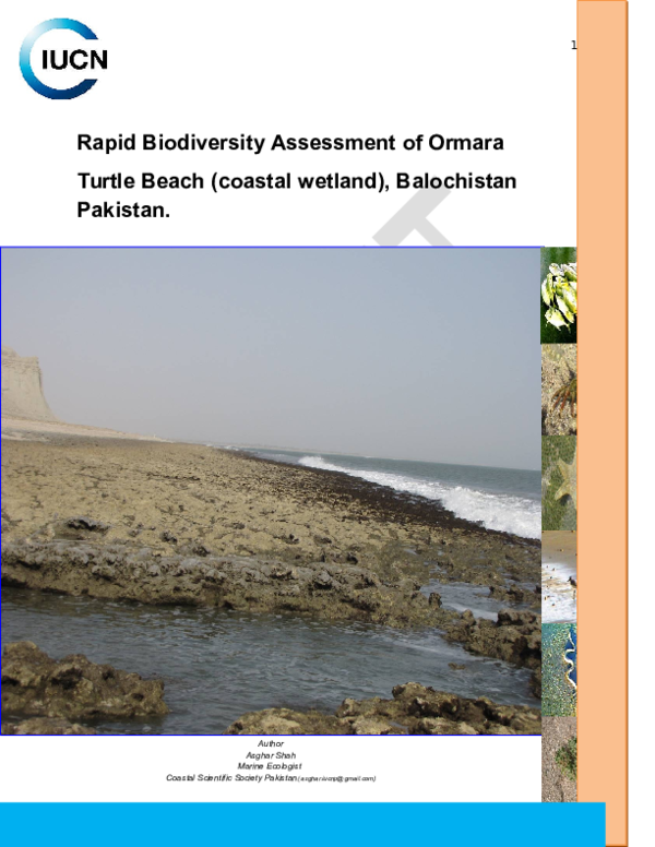 (DOC) Rapid Biodiversity Assessment of Coastal Wetland Ormara Pakistan