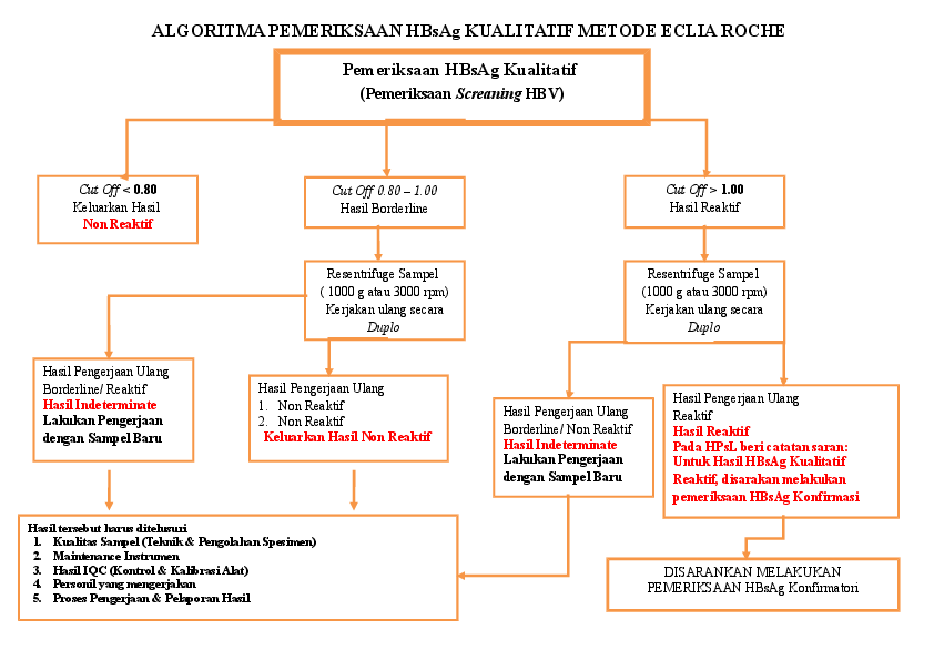 doc-algoritma-pemeriksaan-hbsag-kualitatif-metode-eclia-roche-muh