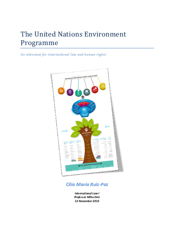 (PDF) The United Nations Environment Programme - Its relevance for ...