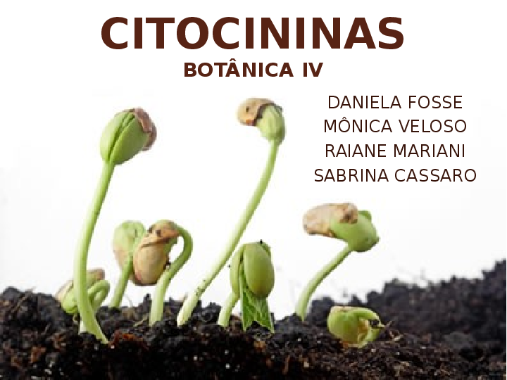 (PPT) Citocininas