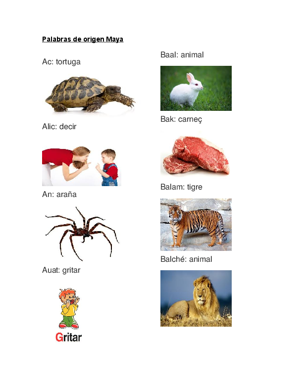 (DOC) PALABRAS DE ORIGEN MAYA