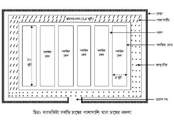 (PDF) Layout of Vegetables+Fodder cultivation at homestead