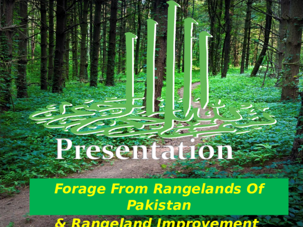 (PPT) Fodder Production In Range Lands Of Pakistan