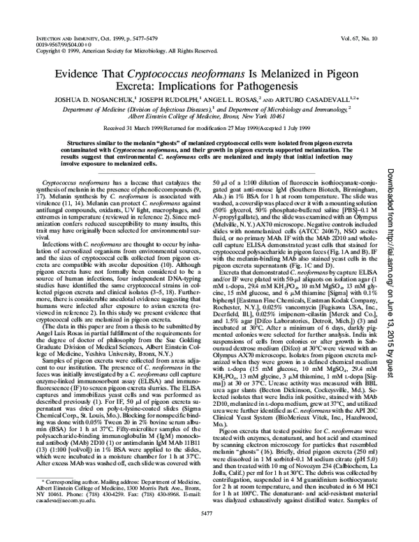(PDF) Evidence That Cryptococcus neoformans Is Melanized in Pigeon ...