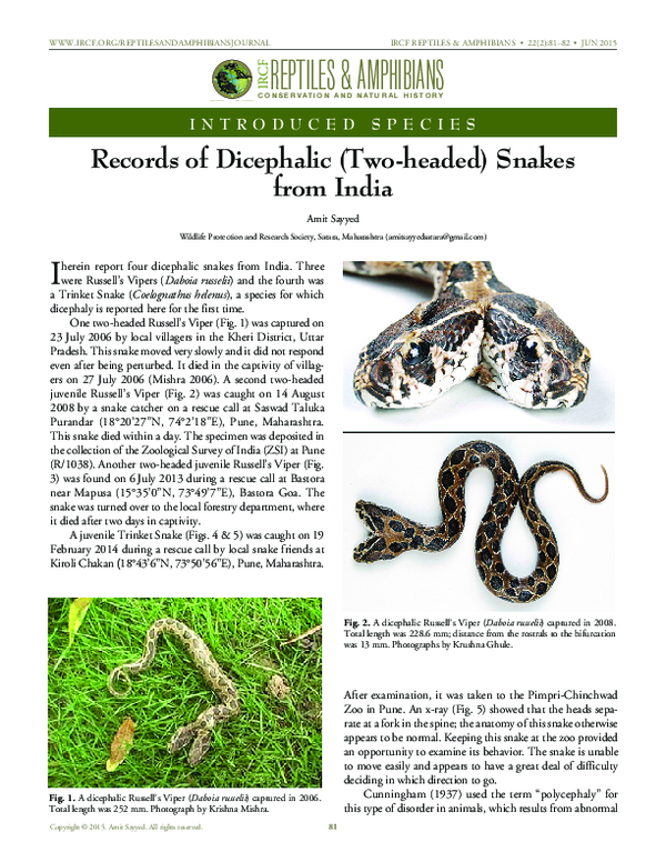 (PDF) Records of Dicephalic (Two-headed) Snakes from India