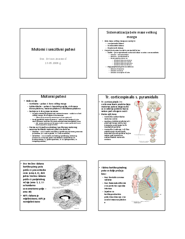 (PDF) Motor and Sensory pathways - Motorni i Senzitivni putevi