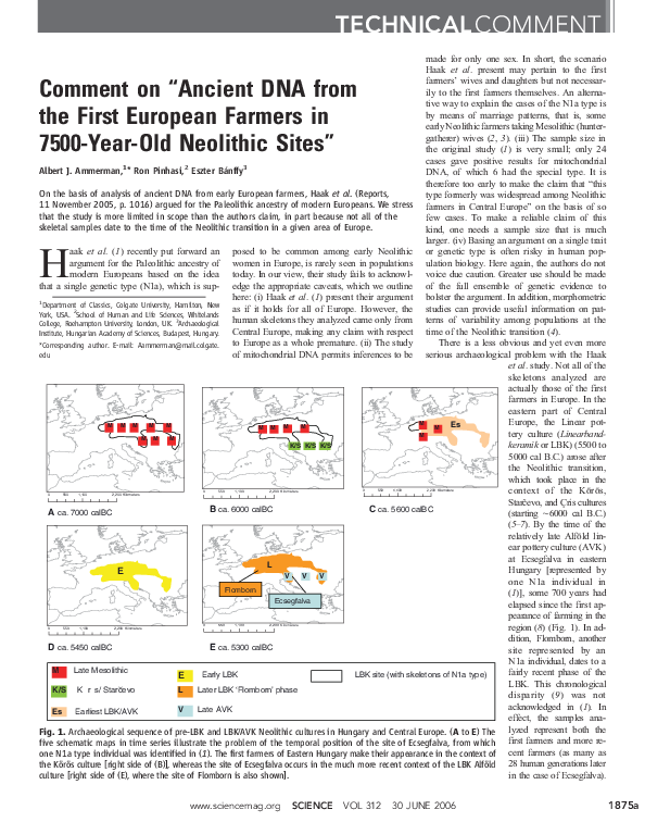 (PDF) Comment on ‘‘Ancient DNA from the First European Farmers in 7500 ...