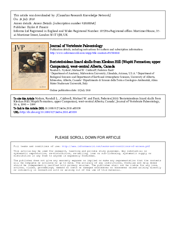 (PDF) ARTICULATED LIZARD SKULLS FROM THE WAPITI FORMATION (UPPER ...