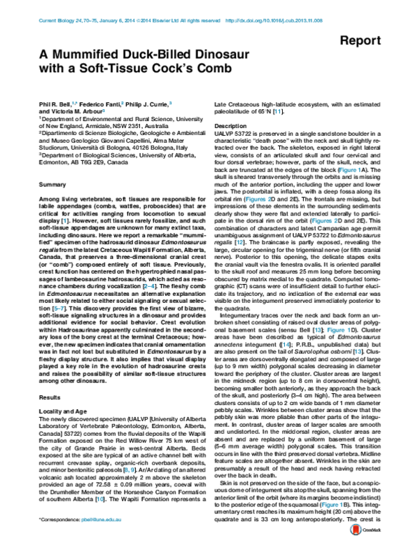 (PDF) A mummified duck-billed dinosaur with a soft-tissue cock's comb