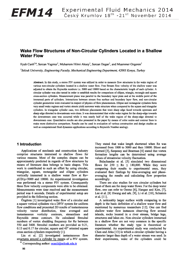 Wake Flow Structures of Non-Circular Cylinders Located in a Shallow Water Flow
