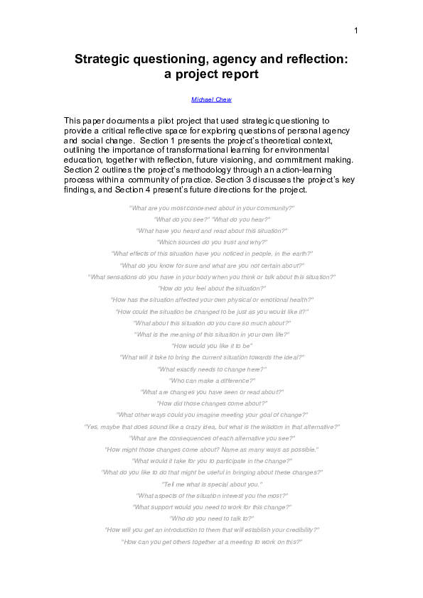 (PDF) Strategic Questioning, Agency and Reflection