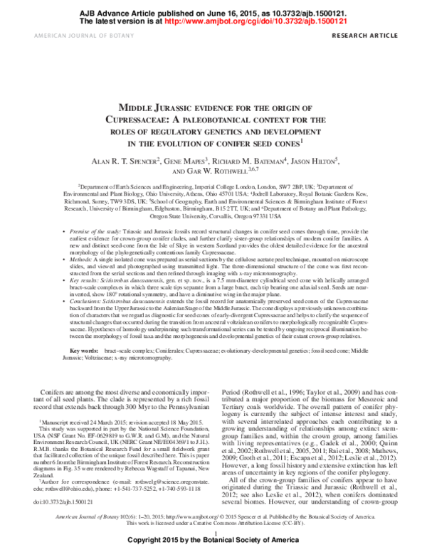 (PDF) Diversity of Ancient Conifers: The Jurassic Seed Cone ...