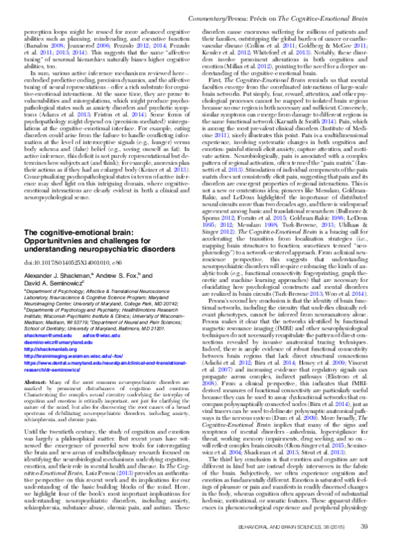 (PDF) The cognitive-emotional brain: Opportunities and challenges for ...