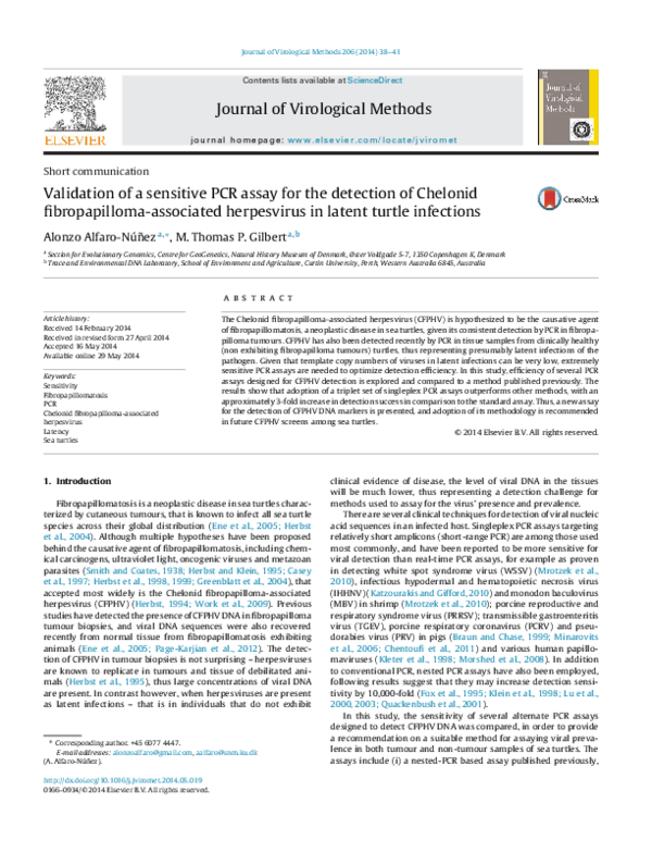 (PDF) Validation of a sensitive PCR assay for the detection of Chelonid ...