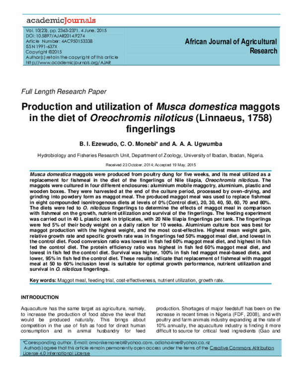 Production and utilization of Musca domestica maggots in the diet of ...