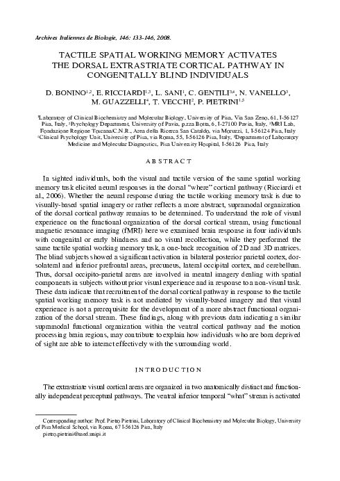 Tactile Spatial Working Memory Activates The Dorsal Extrastriate Cortical Pathway In