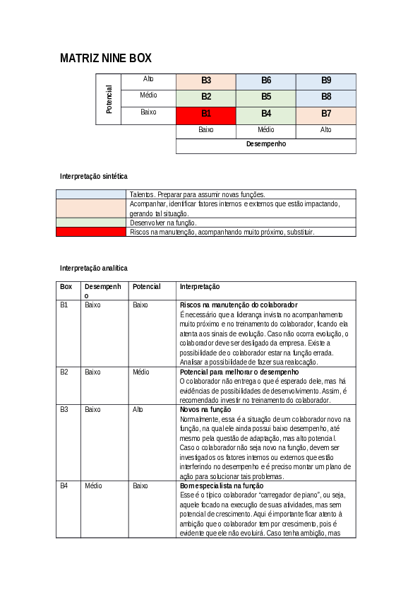 (DOC) MATRIZ NINE BOX