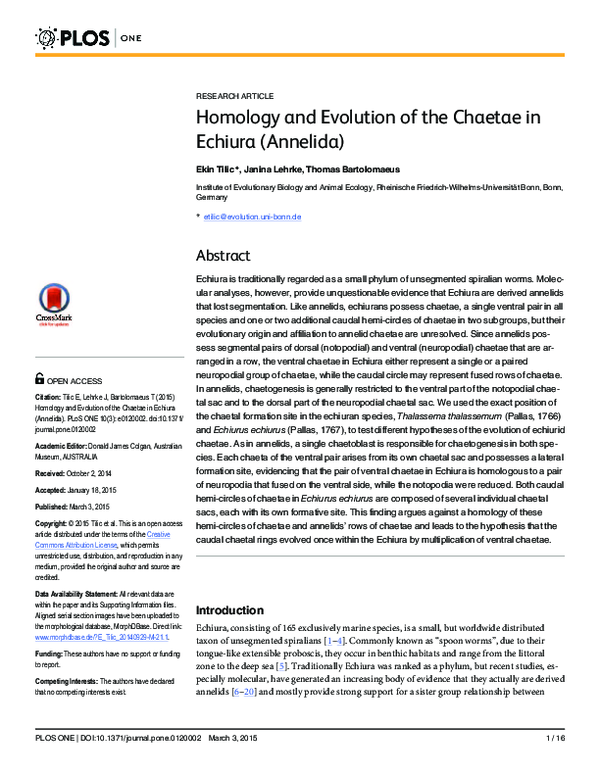 (PDF) Homology and Evolution of the Chaetae in Echiura (Annelida)