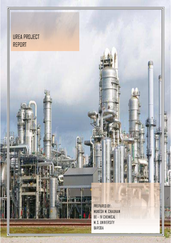 UREA PROJECT REPORT PREPARED BY
