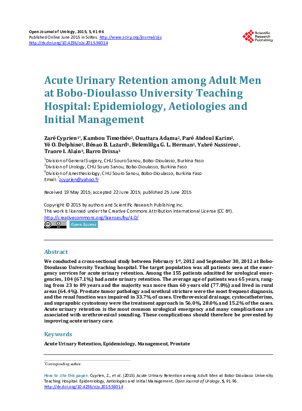 (PDF) Acute Urinary Retention among Adult Men at Bobo-Dioulasso University Teaching Hospital ...