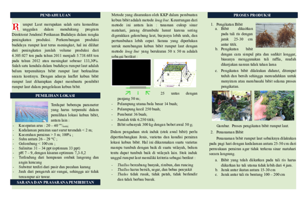 (DOC) Leaflet rumput laut