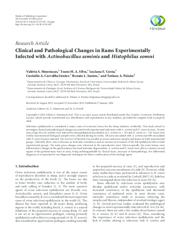 (PDF) Clinical and Pathological Changes in Rams Experimentally Infected ...