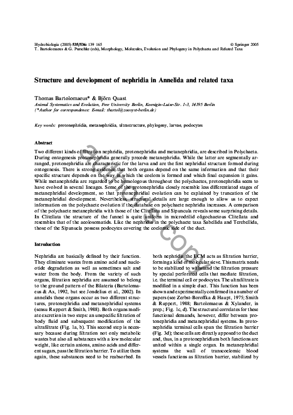 (PDF) Structure and development of nephridia in Annelida and related taxa