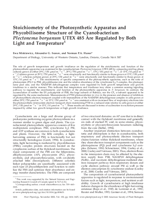 (PDF) Stoichiometry of the Photosynthetic Apparatus and Phycobilisome ...
