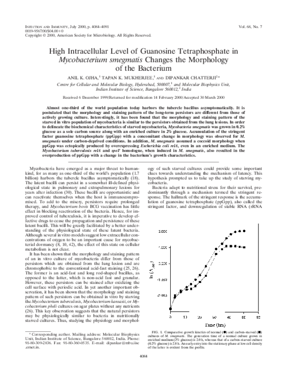 (PDF) High Intracellular Level of Guanosine Tetraphosphate in