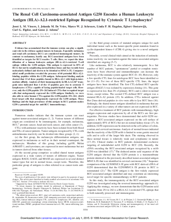 (PDF) The Renal Cell Carcinoma-associated Antigen G250 Encodes a Human ...